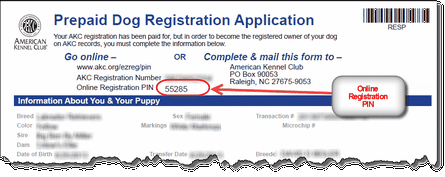 American Kennel Club - Online Dog Registration