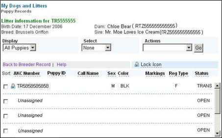 American Kennel Club - Online Accounts